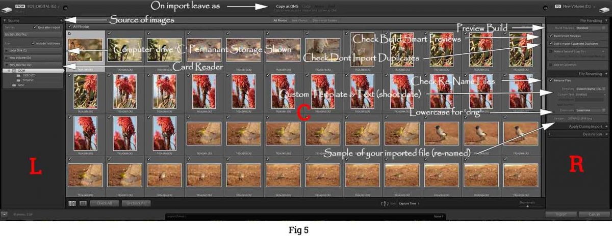 Lightroom Workflow | Easy How To Guide | Lightroom Classic CC