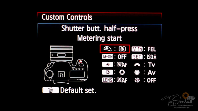 Back Button Focus | Tony Sparkes Photo Safaris